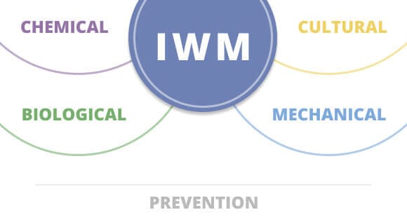 Integrated Weed Management: Benefits Of Methods Used In Complex