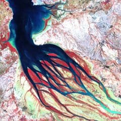 Color Infrared (Vegetation), Cir Imagery In Remote Sensing