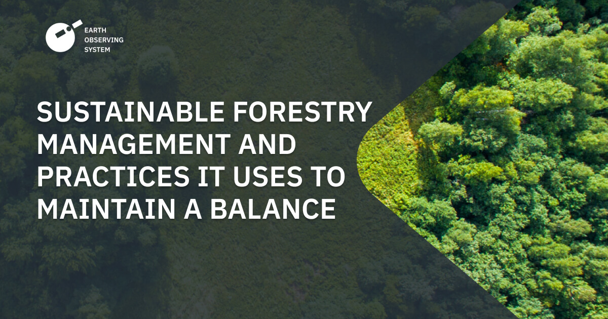 Sustainable Forestry Management Practices Techniques