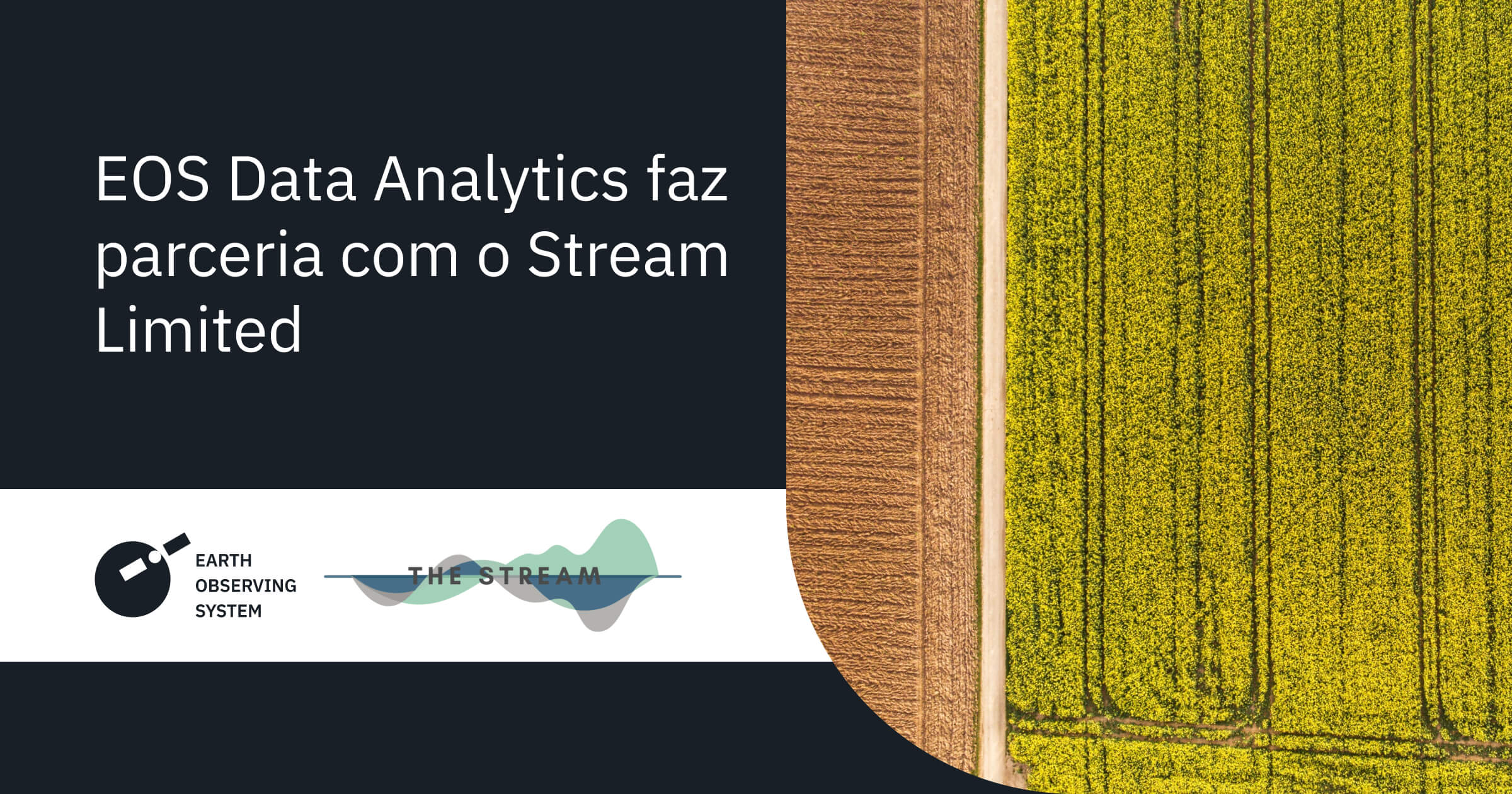 EOS Data Analytics Entra Em Parceria Com O The Stream Limited